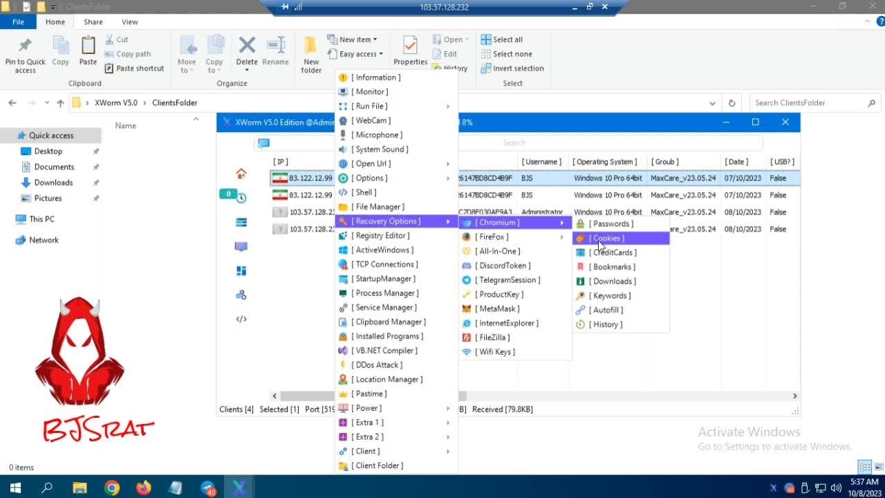 XWorm v5.1 - نماشا